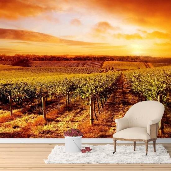 Fototapete, Apusul soarelui in vita de vie Art.01267 • 200.00 lei • Tahagov